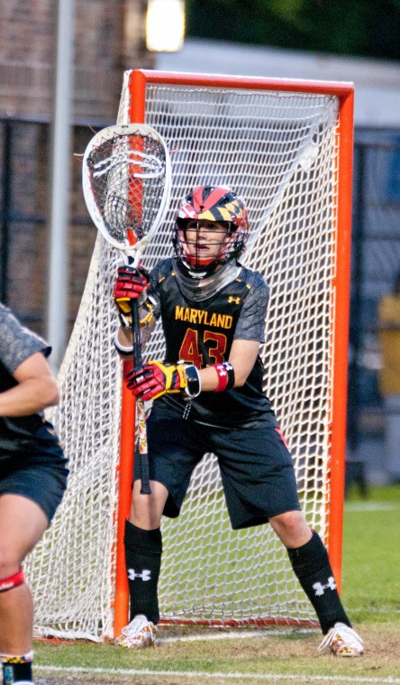 Double Dipping - The Diamondback