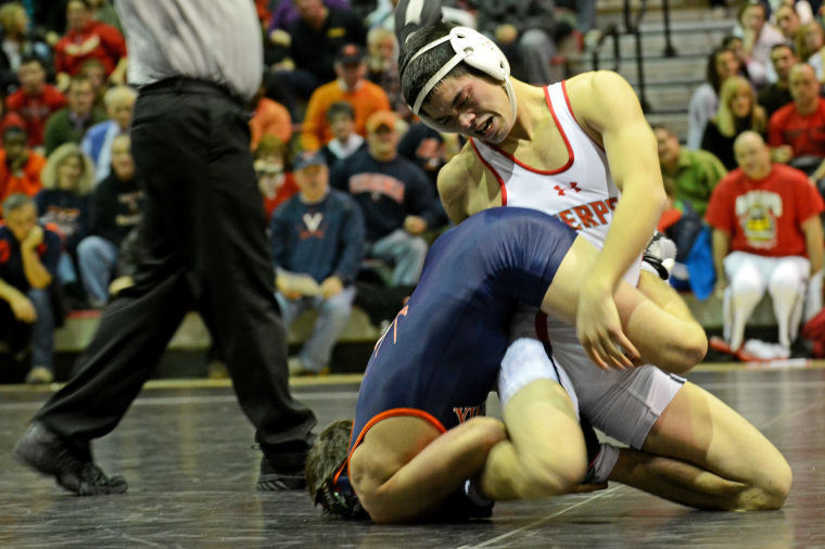 Shane Gentry - The Diamondback