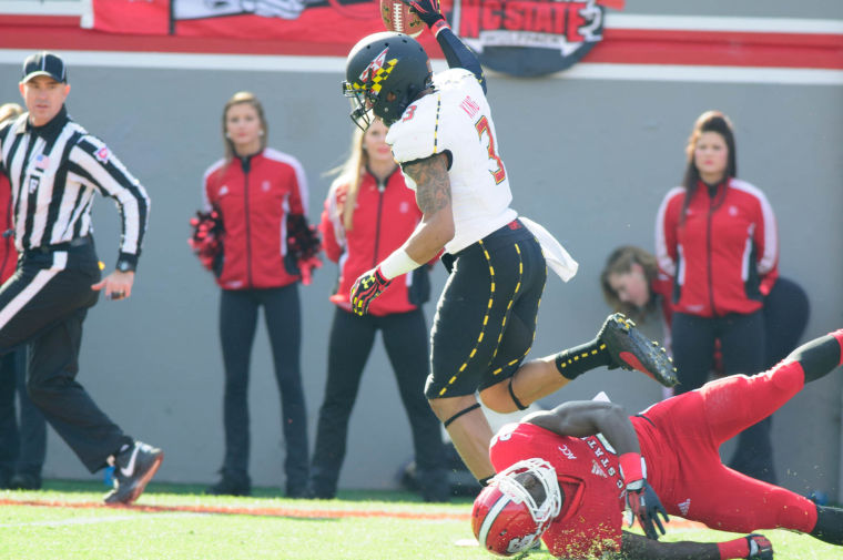 Nigel King - The Diamondback