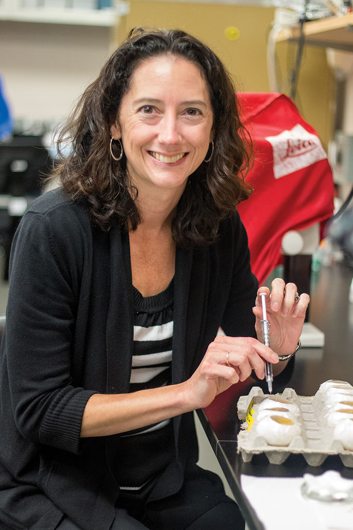 University professor receives NIH grant for ‘cell glue’ research - The ...