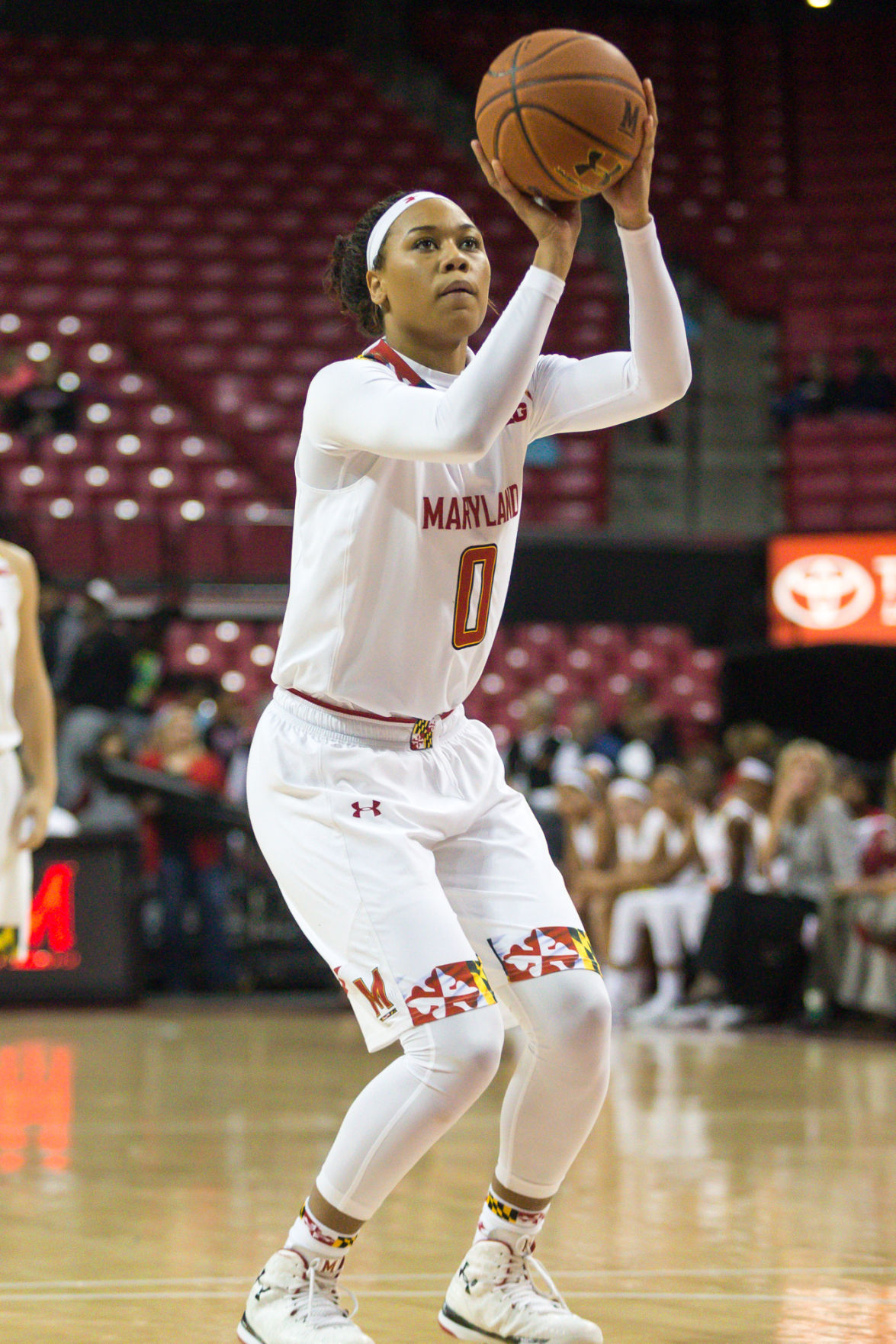 Aja Ellison - The Diamondback