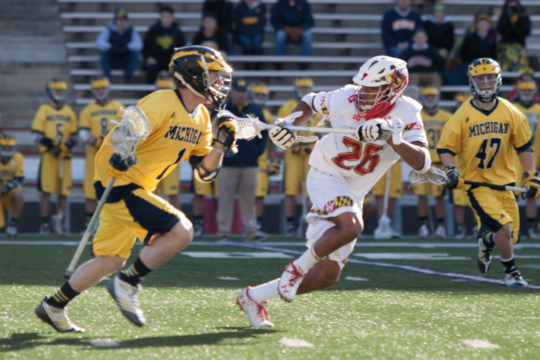 Isaiah Davis-Allen - The Diamondback