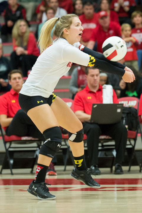 Amy Dion - The Diamondback