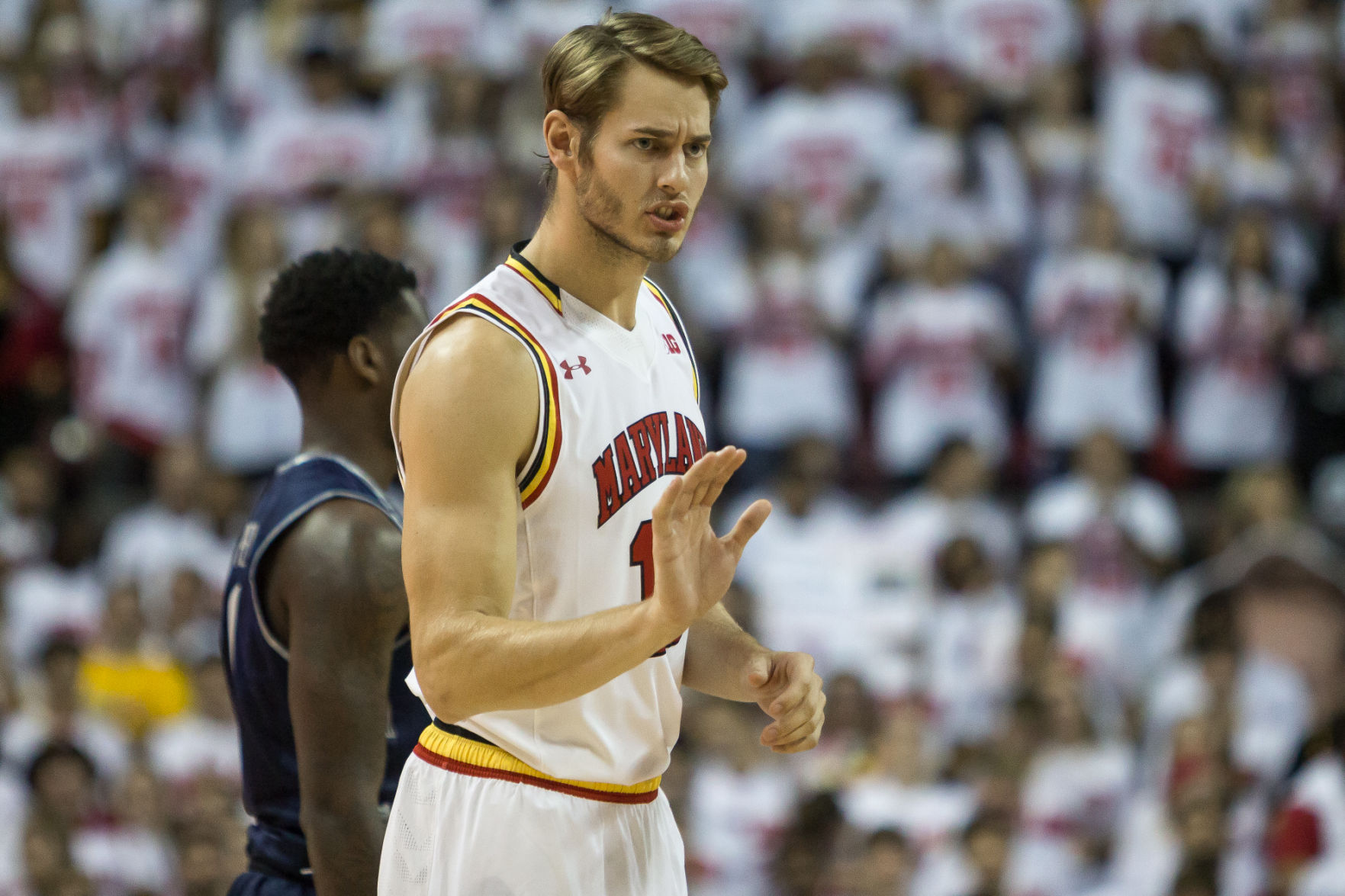 Jake Layman - The Diamondback