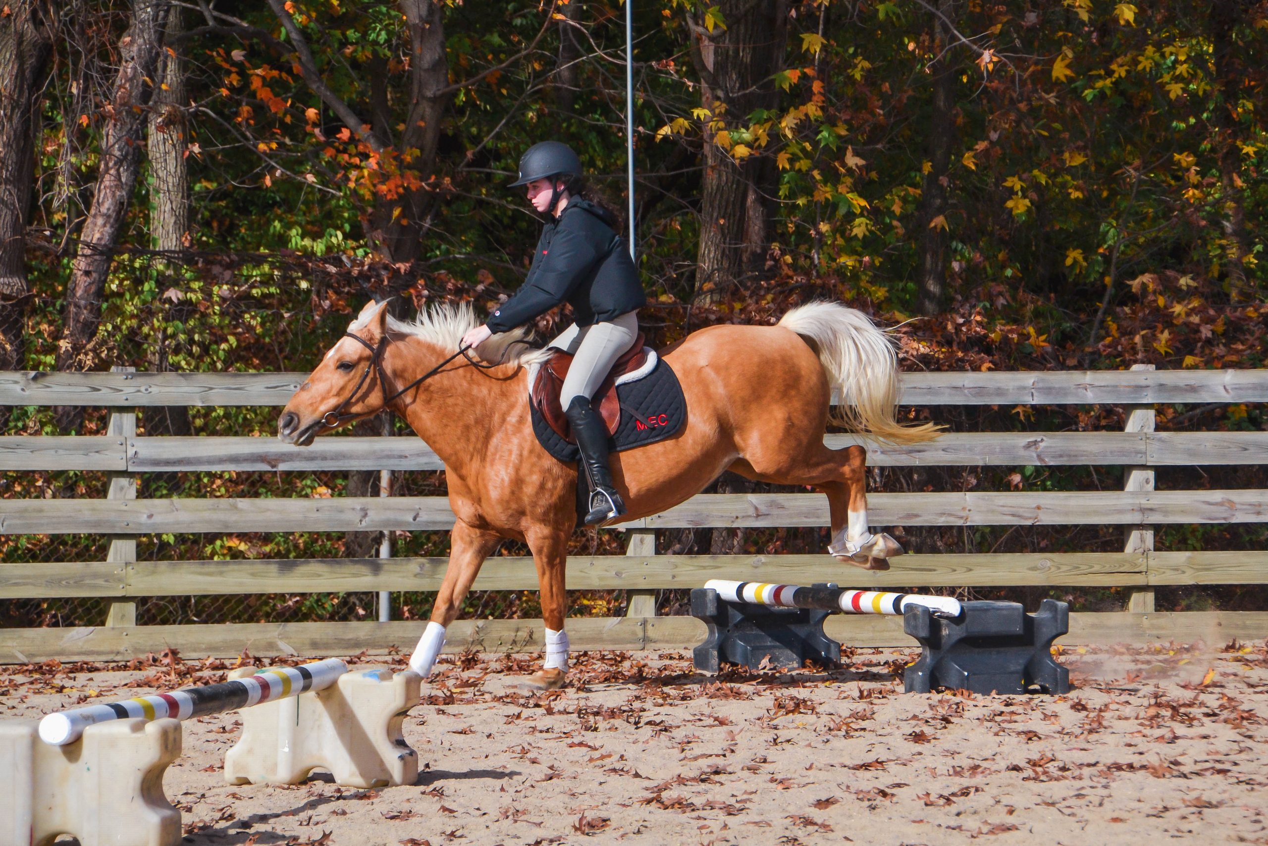 Maryland Equestrian Club raises money for new horses at annual Fall Fun Show Festival