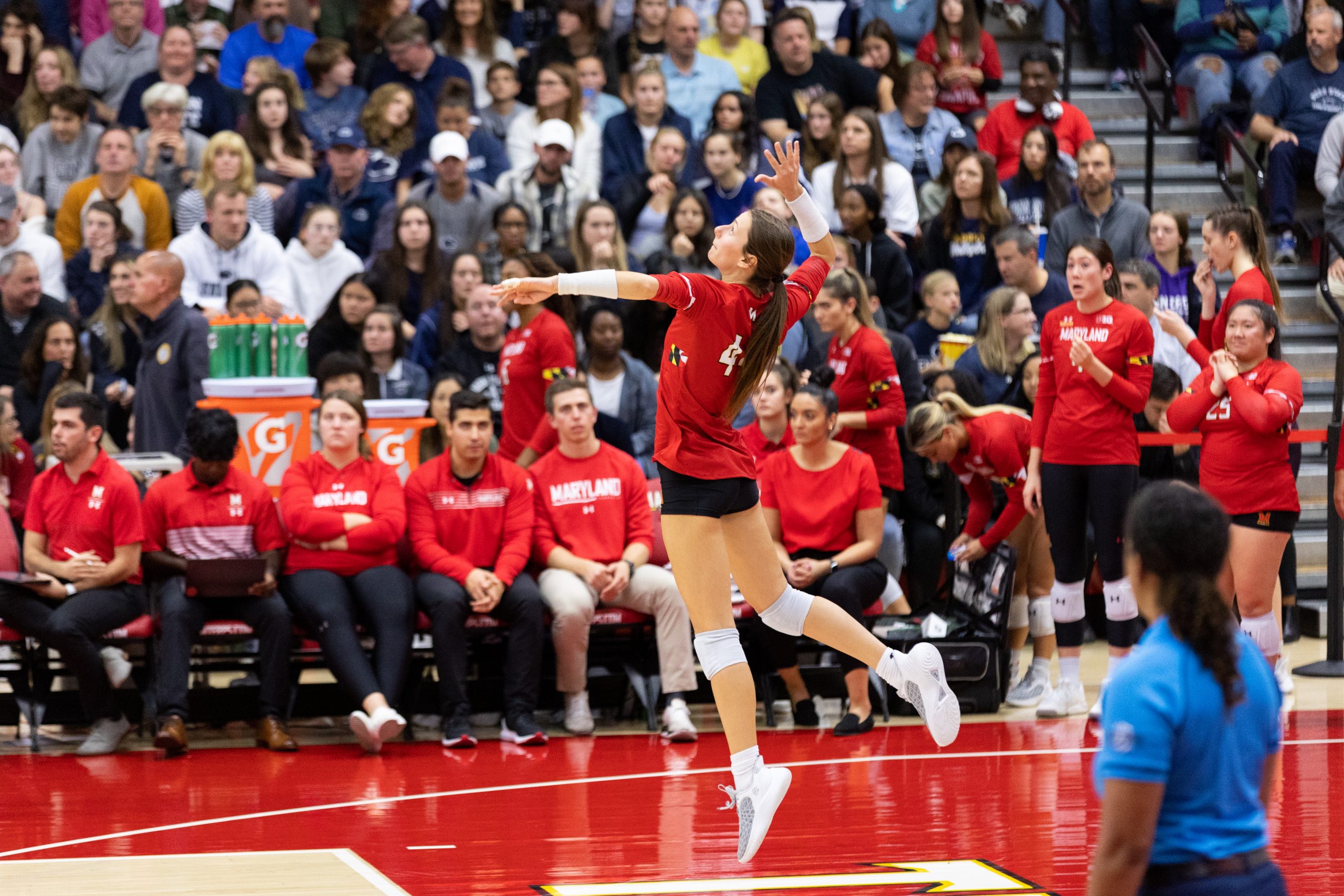 Maryland volleyball’s late-season skid continues with 3-0 loss to No. 3 ...