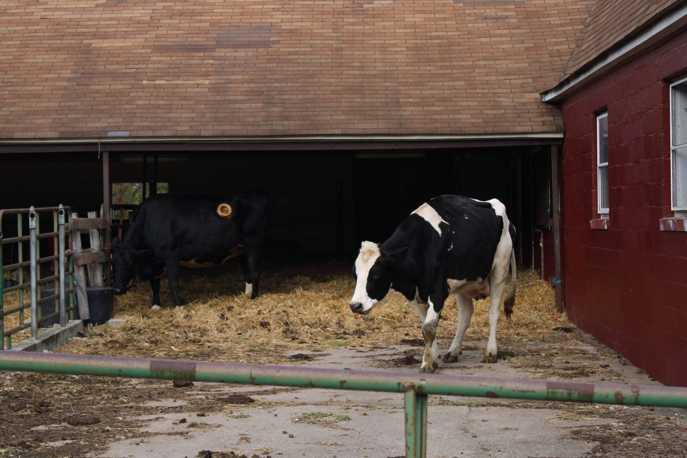 UMD-led research team develops new way to identify methane sources