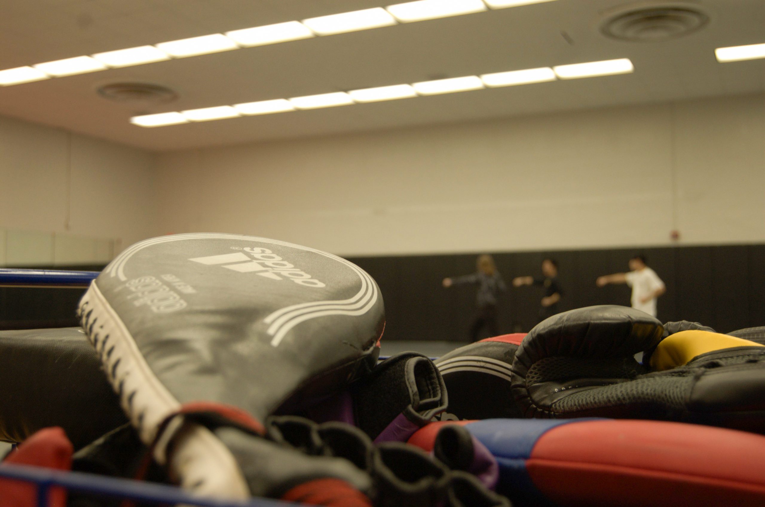 UMD Black Belt Club hopes to grow martial arts community on campus