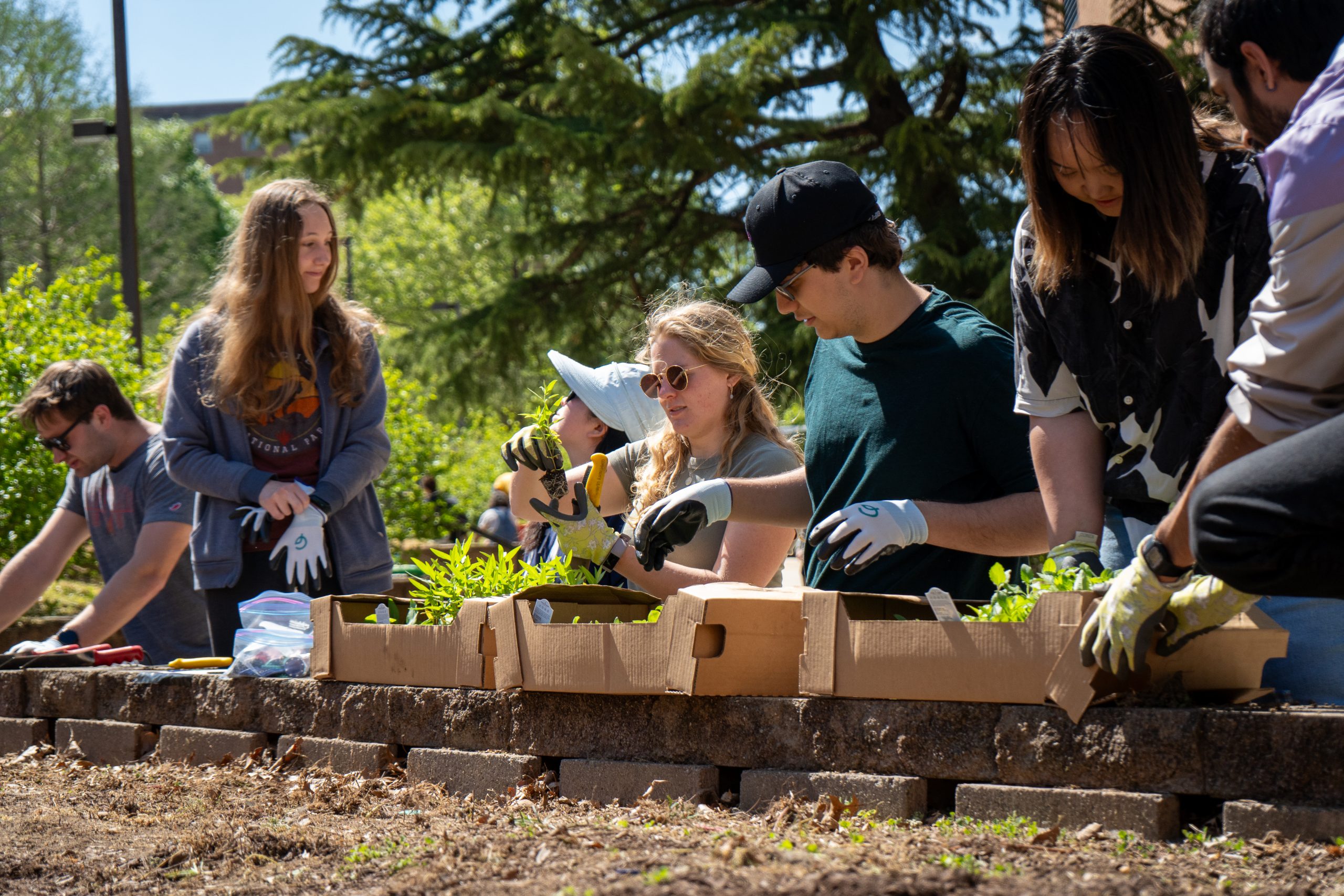 UMD community plants hundreds of flowers to celebrate Earth Day