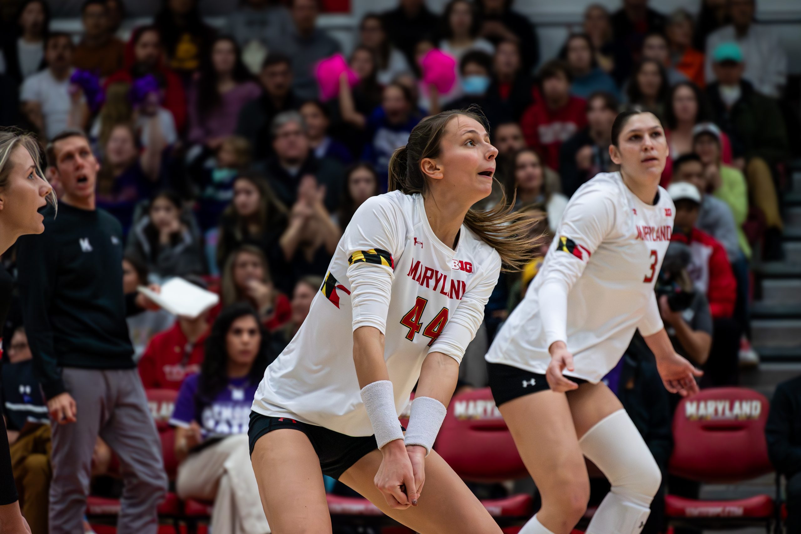 Maryland volleyball splits matches with Troy, LSU to kick off 2024 season