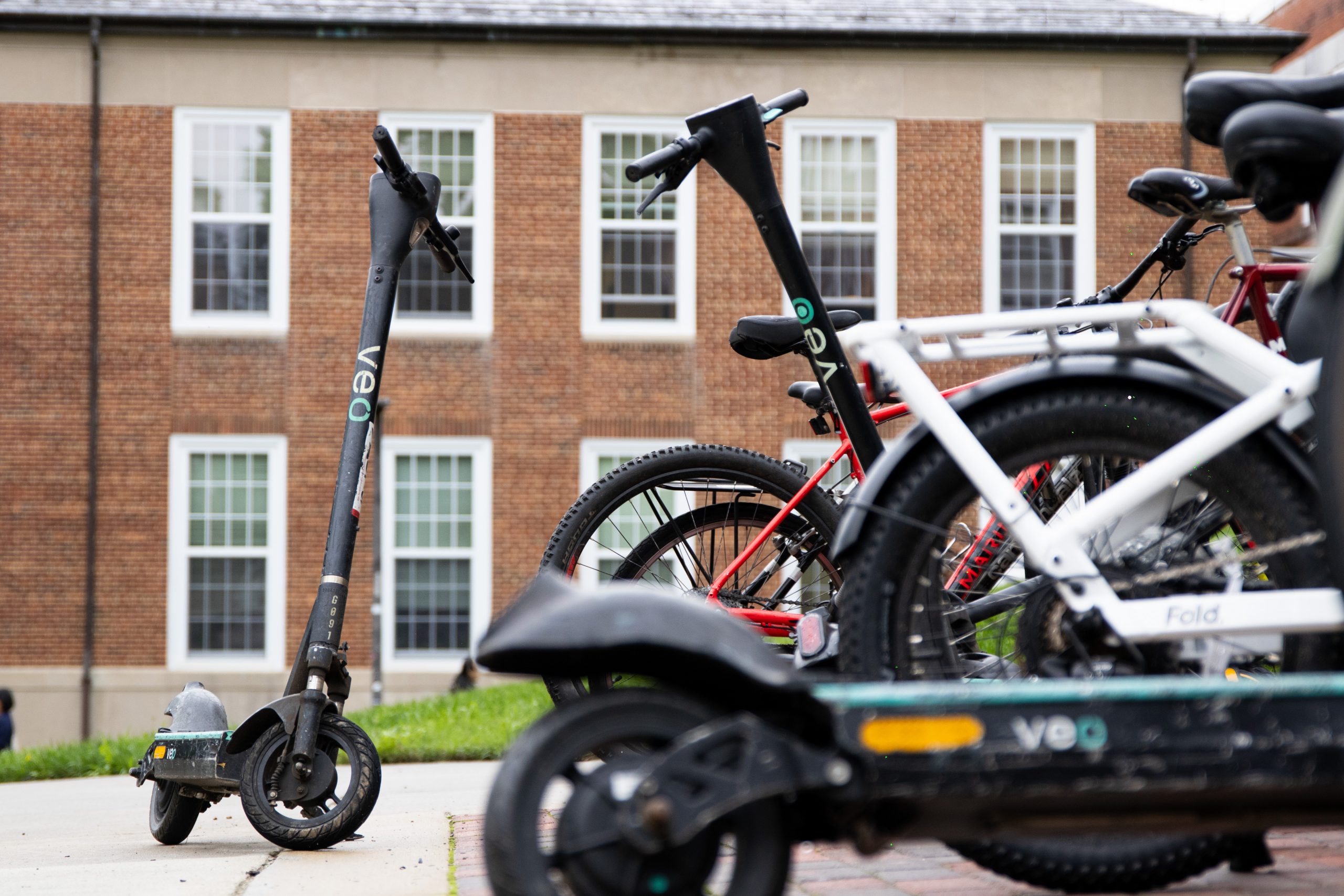 UMD DOTS to host 10 events in October for annual safety month