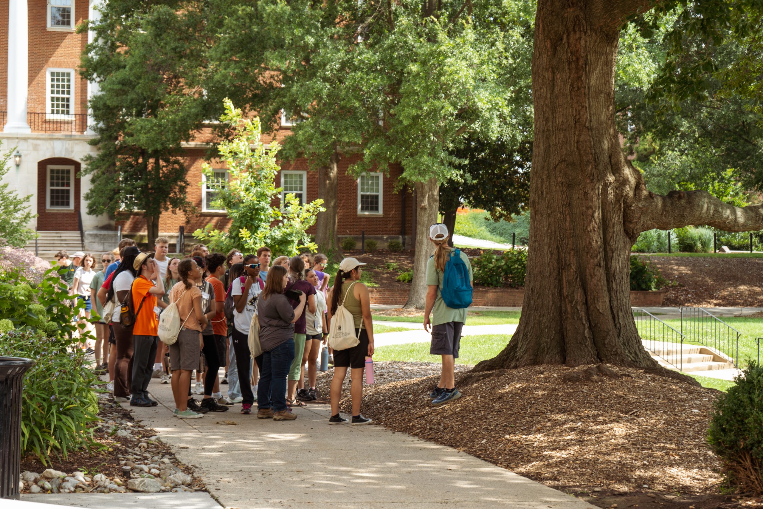 UMD must stop overlooking its transfer students