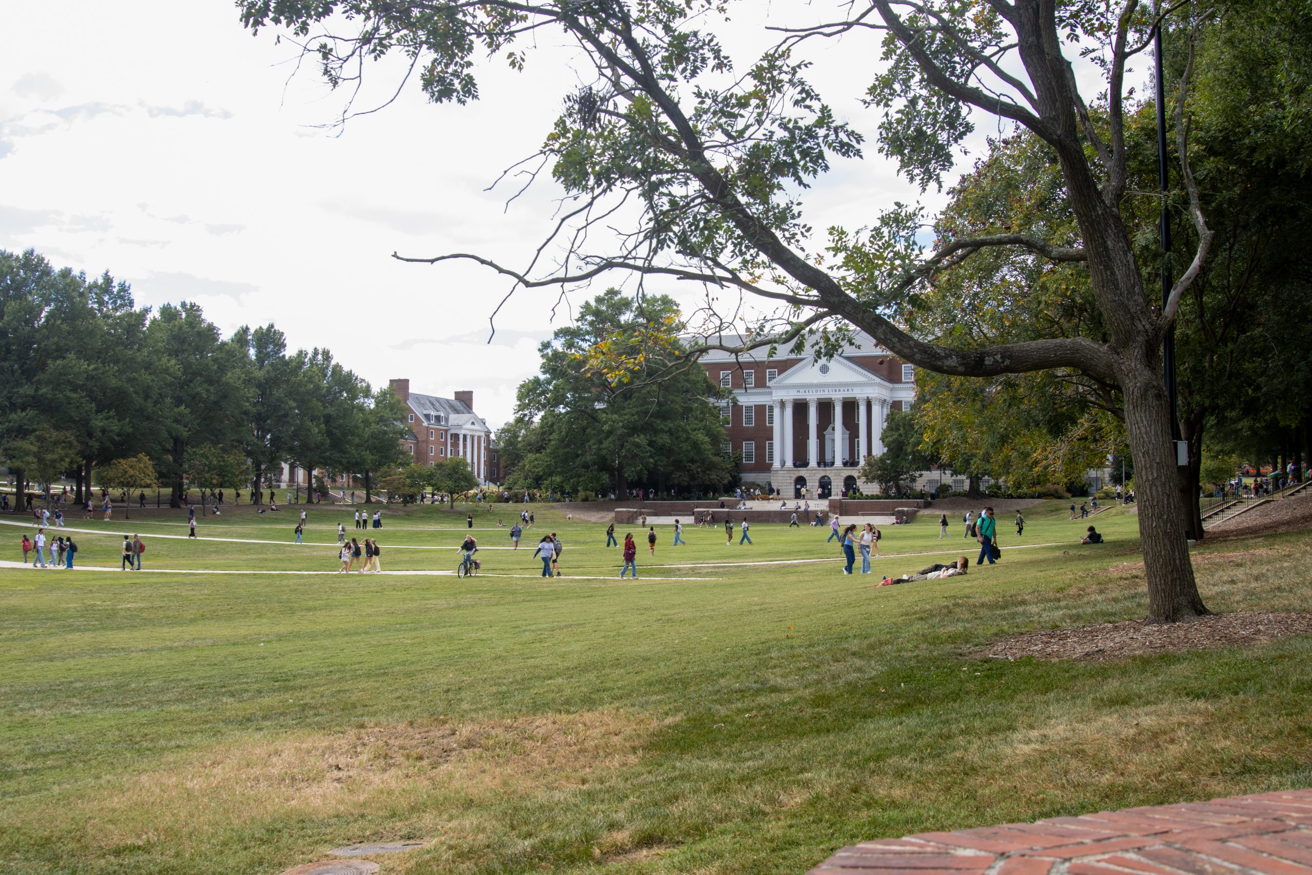 UMD community members discuss federal funding cuts, university response ...